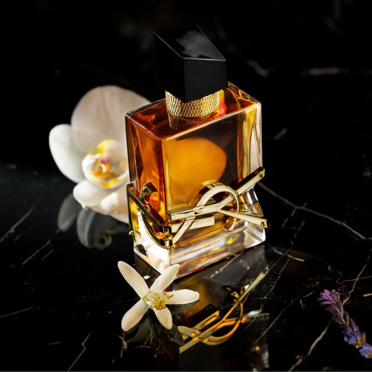Libre by Yves Saint Laurent: El Perfume de la Libertad Femenina en ...